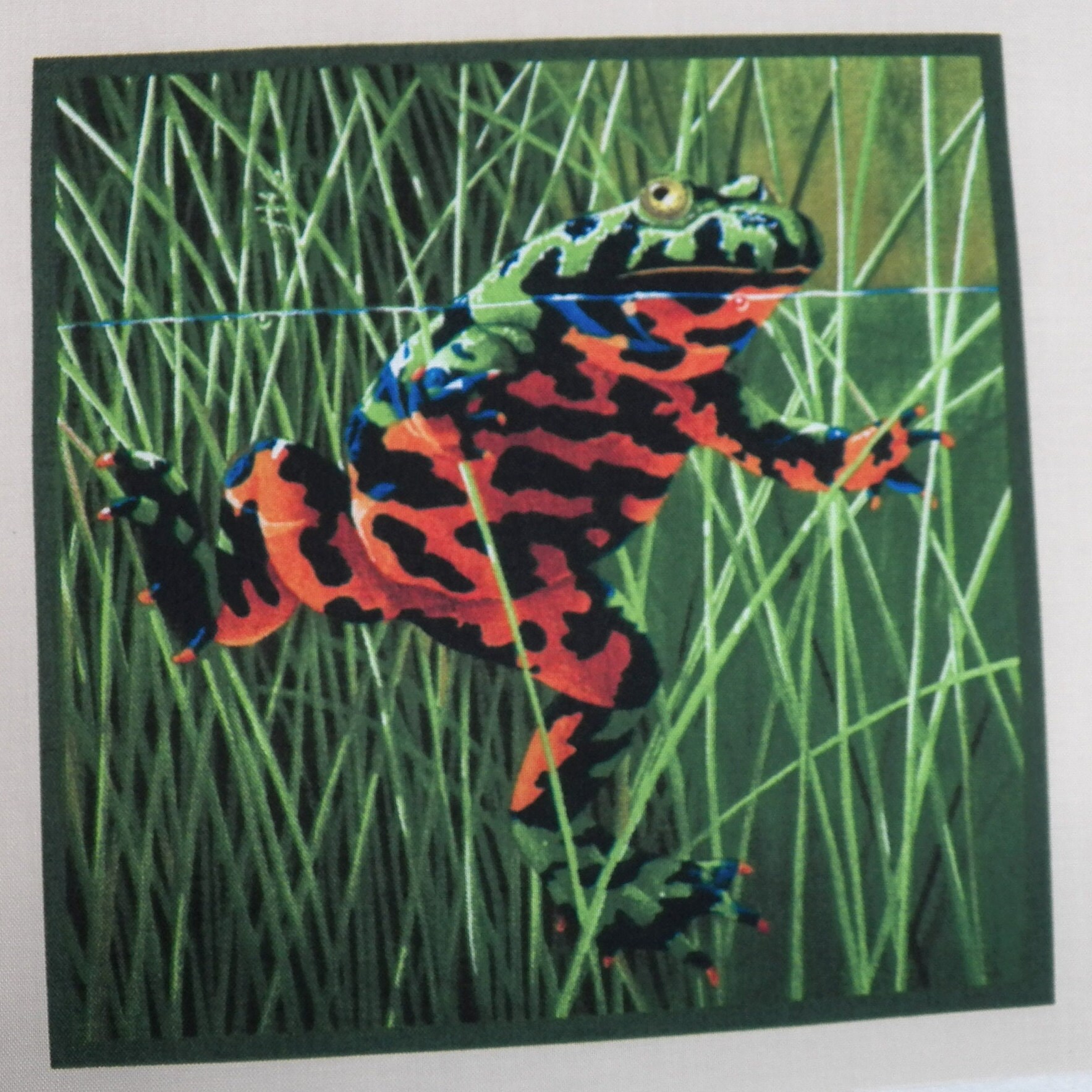 Fabric Panel of 15 Different Colorful Frogs in Nature, Carol Pieter ...