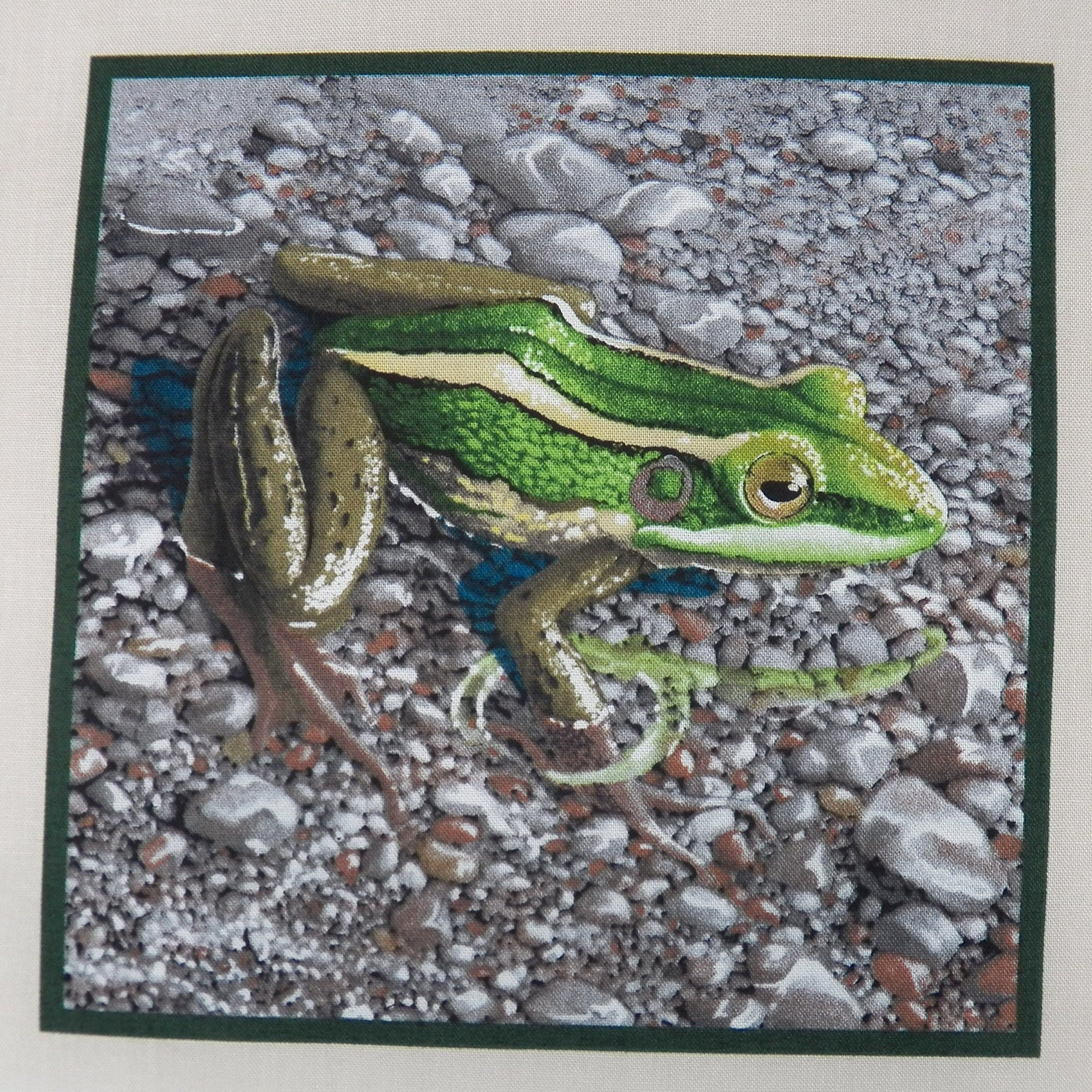 Fabric Panel of 15 Different Colorful Frogs in Nature, Carol Pieter ...