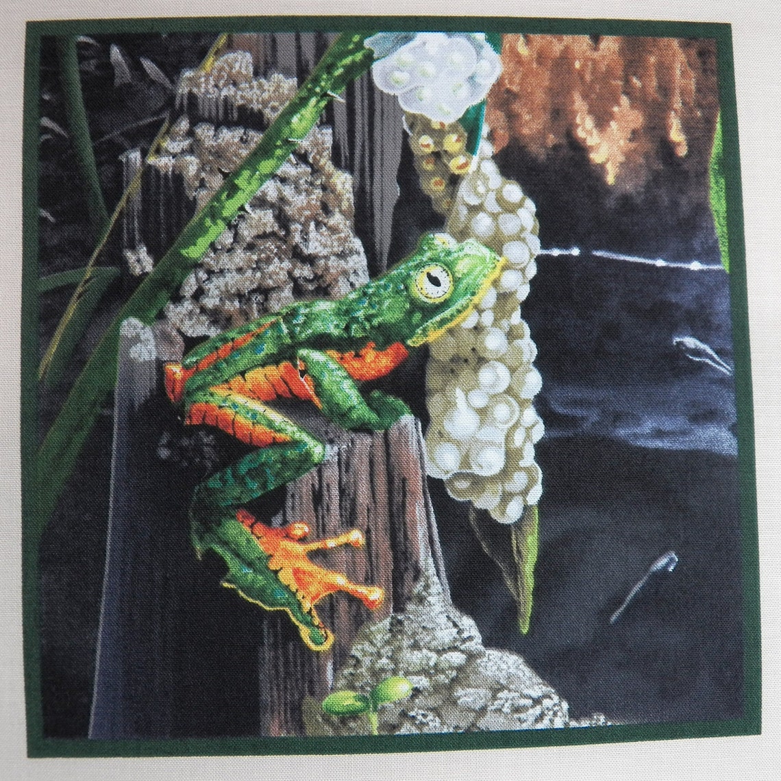 Fabric Panel of 15 Different Colorful Frogs in Nature, Carol Pieter ...