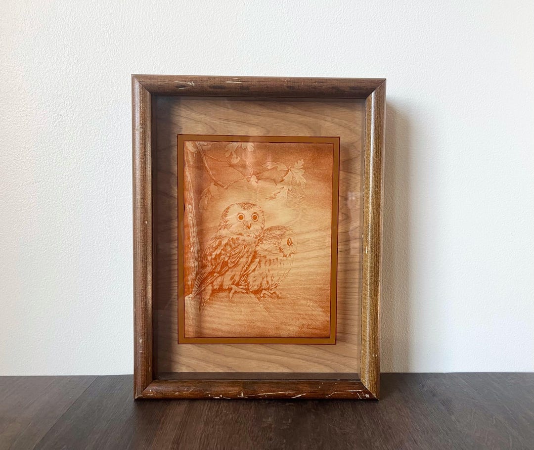 Dennis Curry Wildlife Owl Print on Glass Shadow Box Style Wooden Frame ...