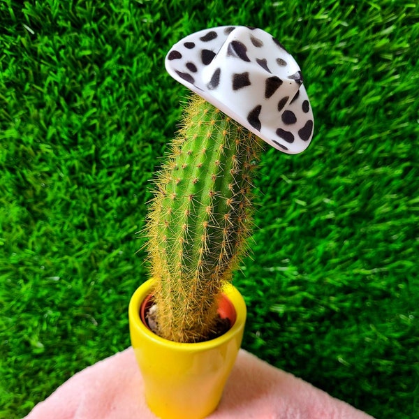 Cowboy Hat Planter - Etsy