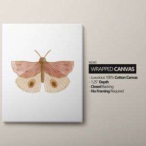 Boho Butterfly Floral Set of 3 Nursery Art Prints, Butterfly Nursery ...