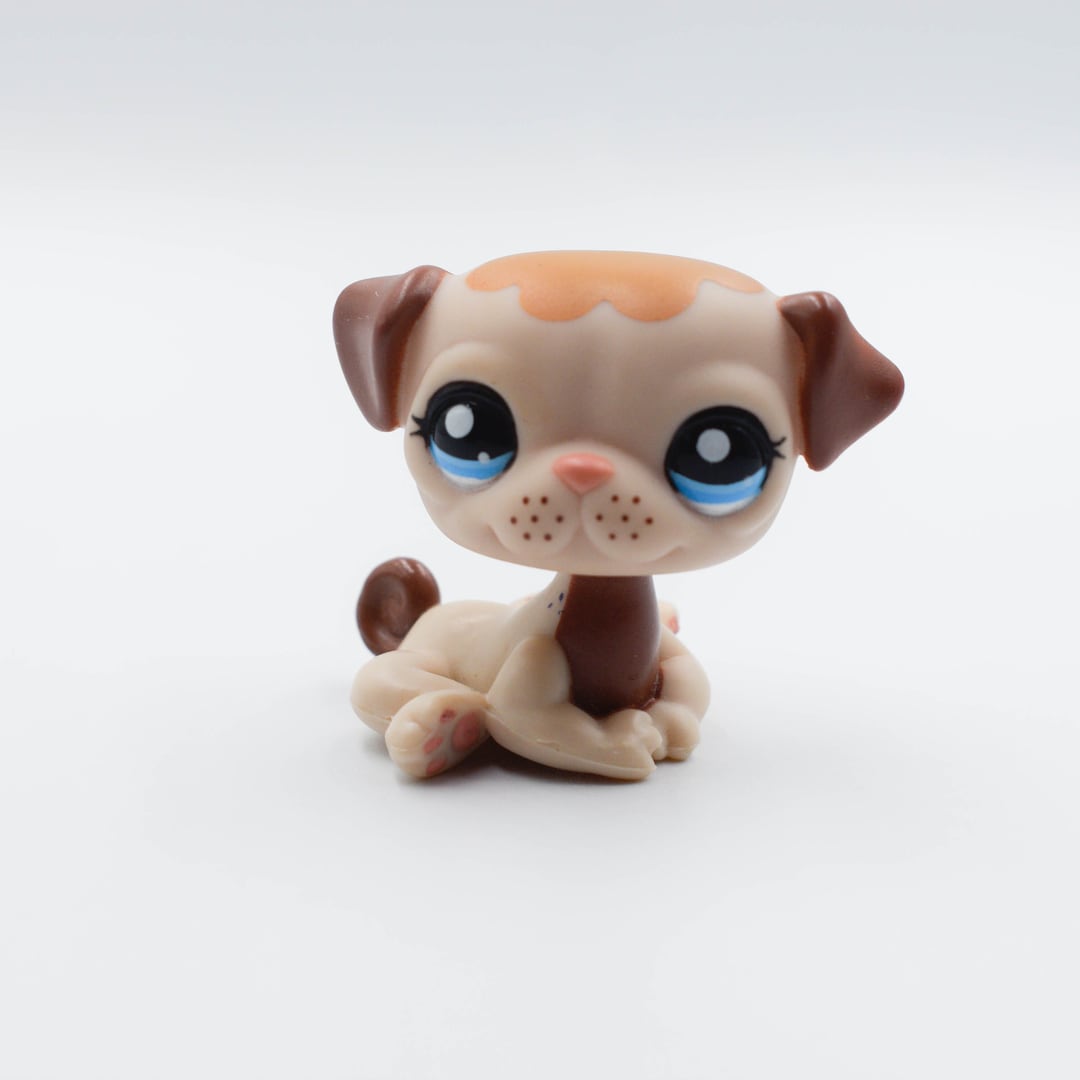 LPS Cutest Pug 1753 Authentic Littlest Pet Shop Hasbro - Etsy