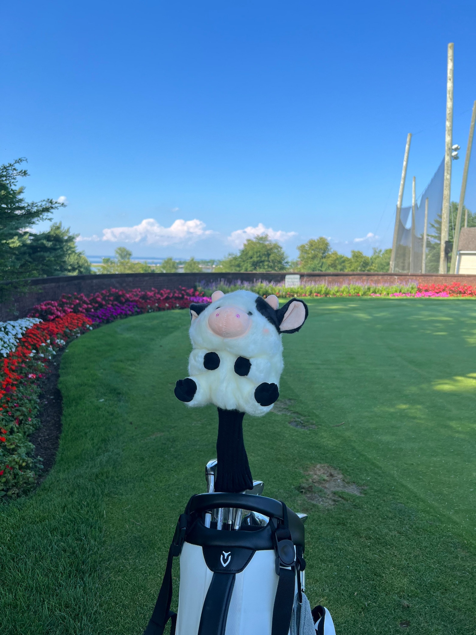 Cow Plush Golf Club Head Cover/ Golf Driver Cover - Etsy
