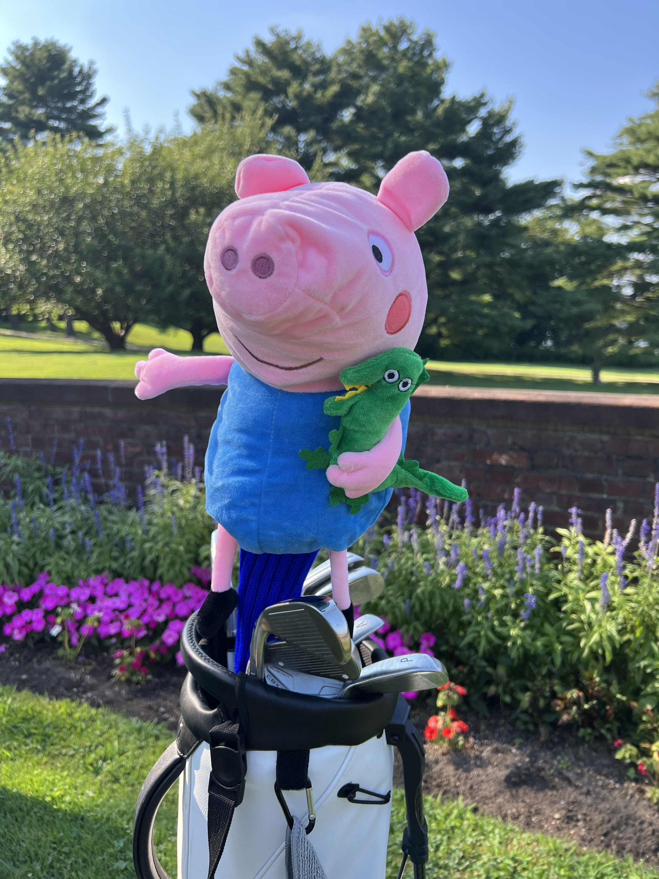 Pig Plush Golf Club Head Cover/ Gift for Her / Gift for Him /gift for ...