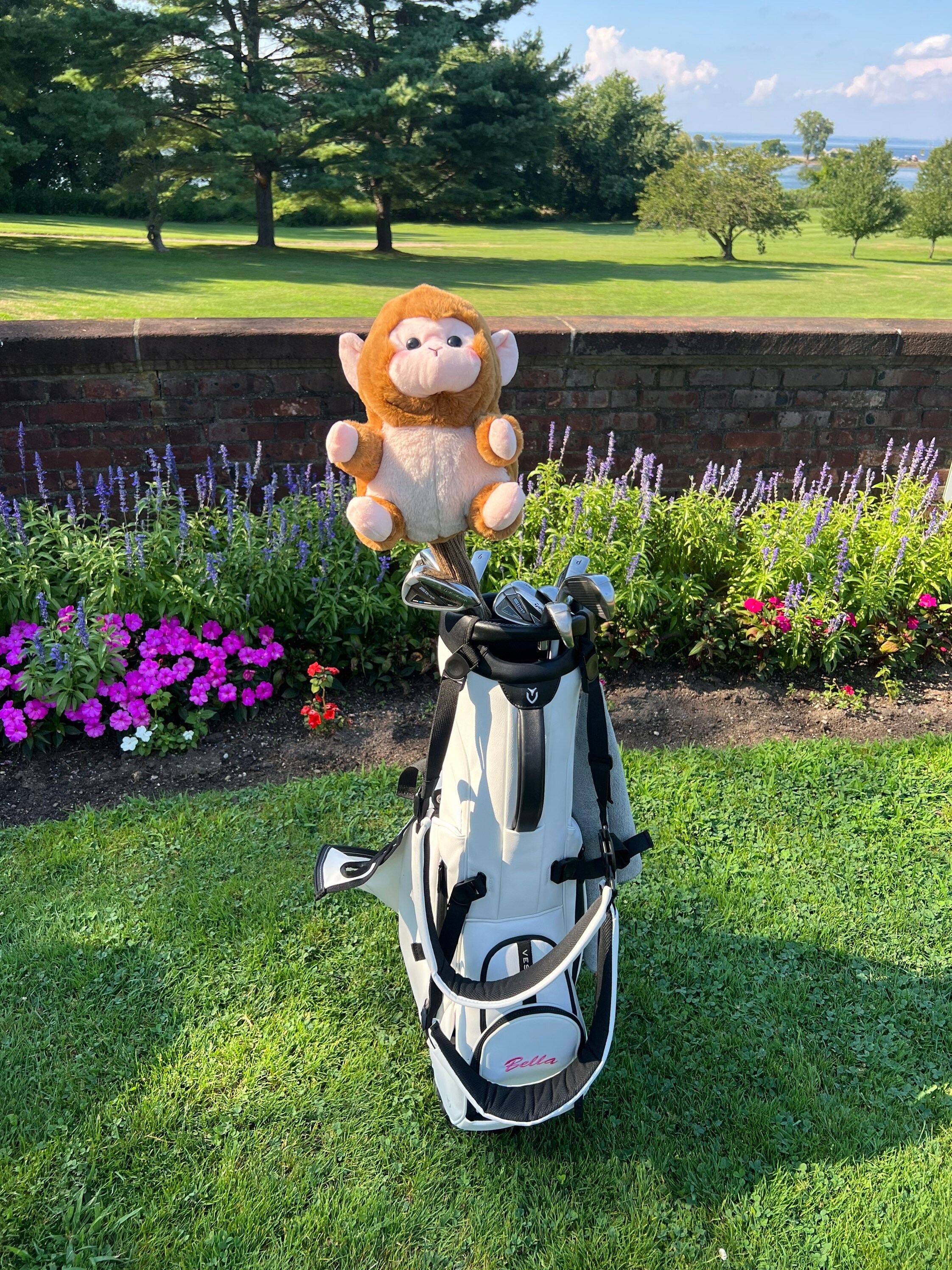 Cartoon Monkey Plush Golf Club Head Cover/ Golf Driver Cover - Etsy