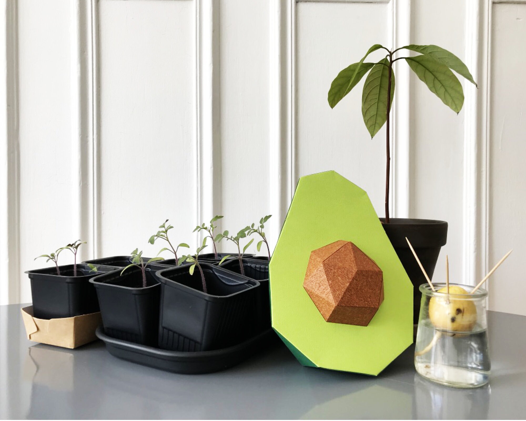 Avocado Paper Model Patron Papercraft Origami DIY - Etsy Singapore