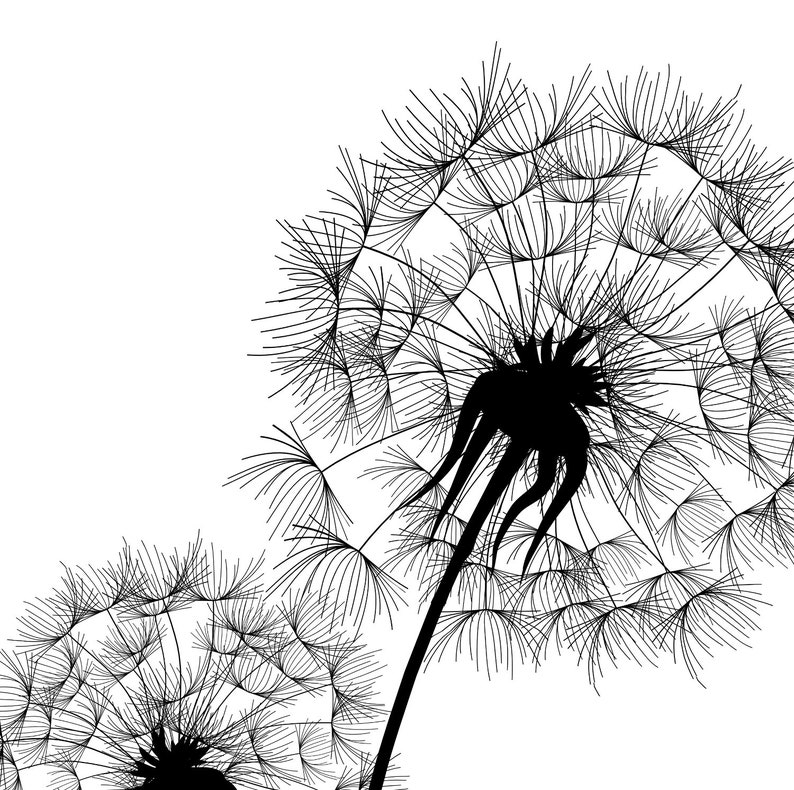 Dandelion Wall Art Print Dandelion Prints Dandelion Poster - Etsy