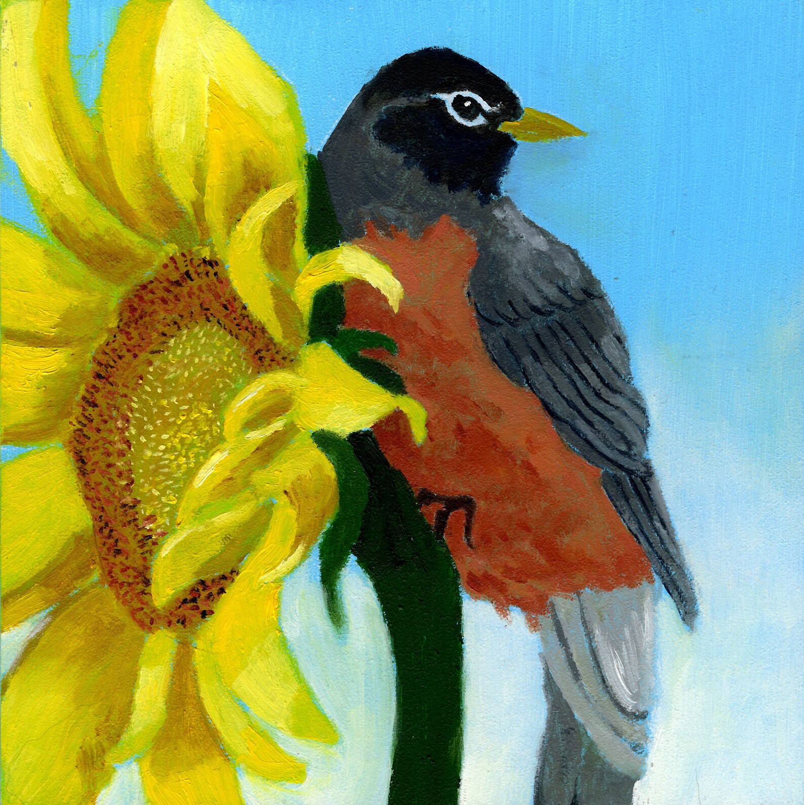 Framed Robin With Sunflower - Etsy
