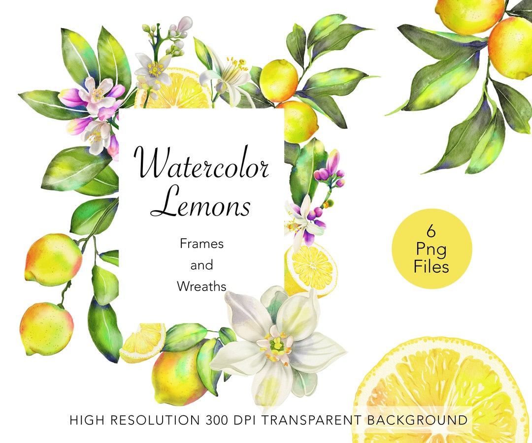 Watercolor Lemon Clipart | Lemon Frames Wreaths PNG | Invitation ...