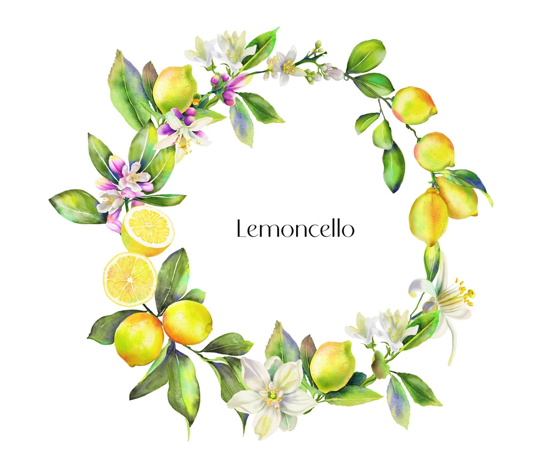 Watercolor Lemon Clipart | Lemon Frames Wreaths PNG | Invitation ...
