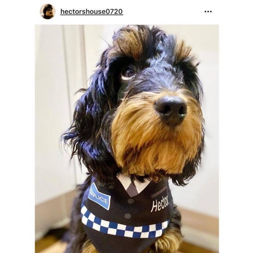 Knitting Pattern PDF Download Border Terrier Pet Portrait | Etsy UK