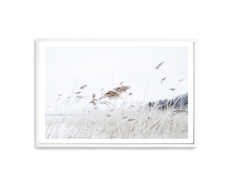 Reeds Wall Art | Etsy