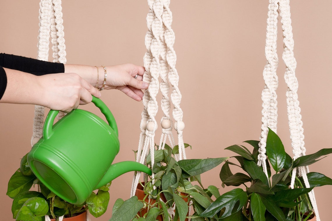 Macrame Plant Hanger/macrame Plant Decor/macrame Plant Display - Etsy