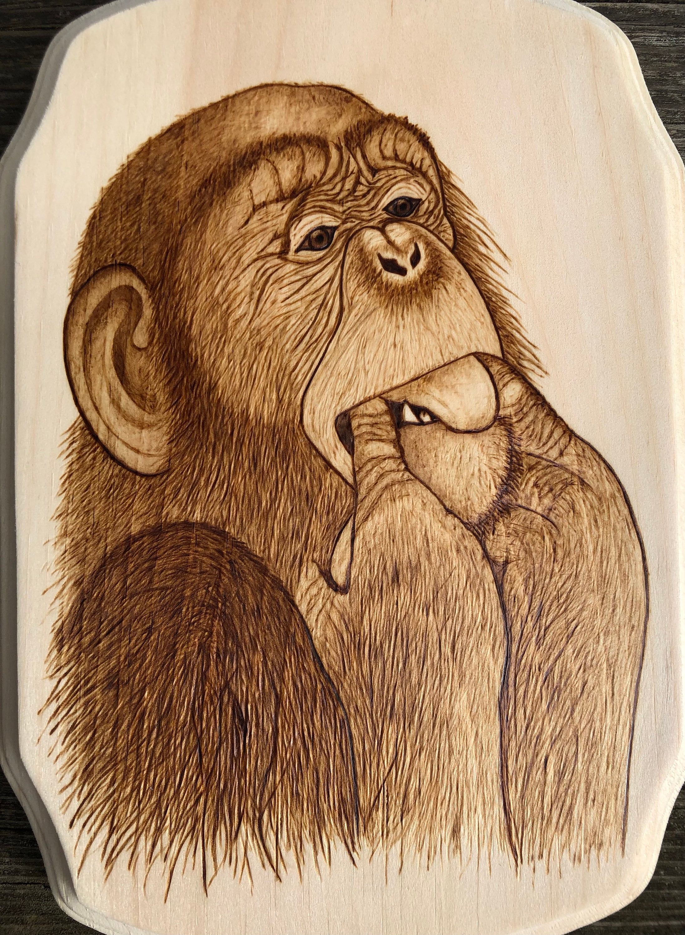 Monkey Around Plaque - Etsy