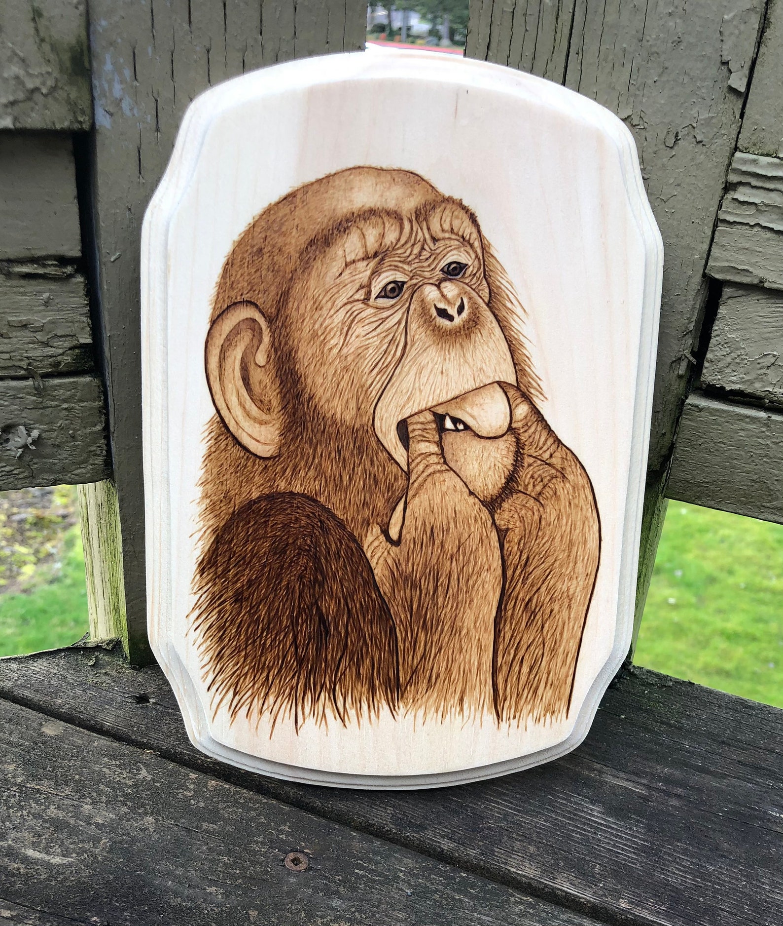 Monkey Around Plaque - Etsy