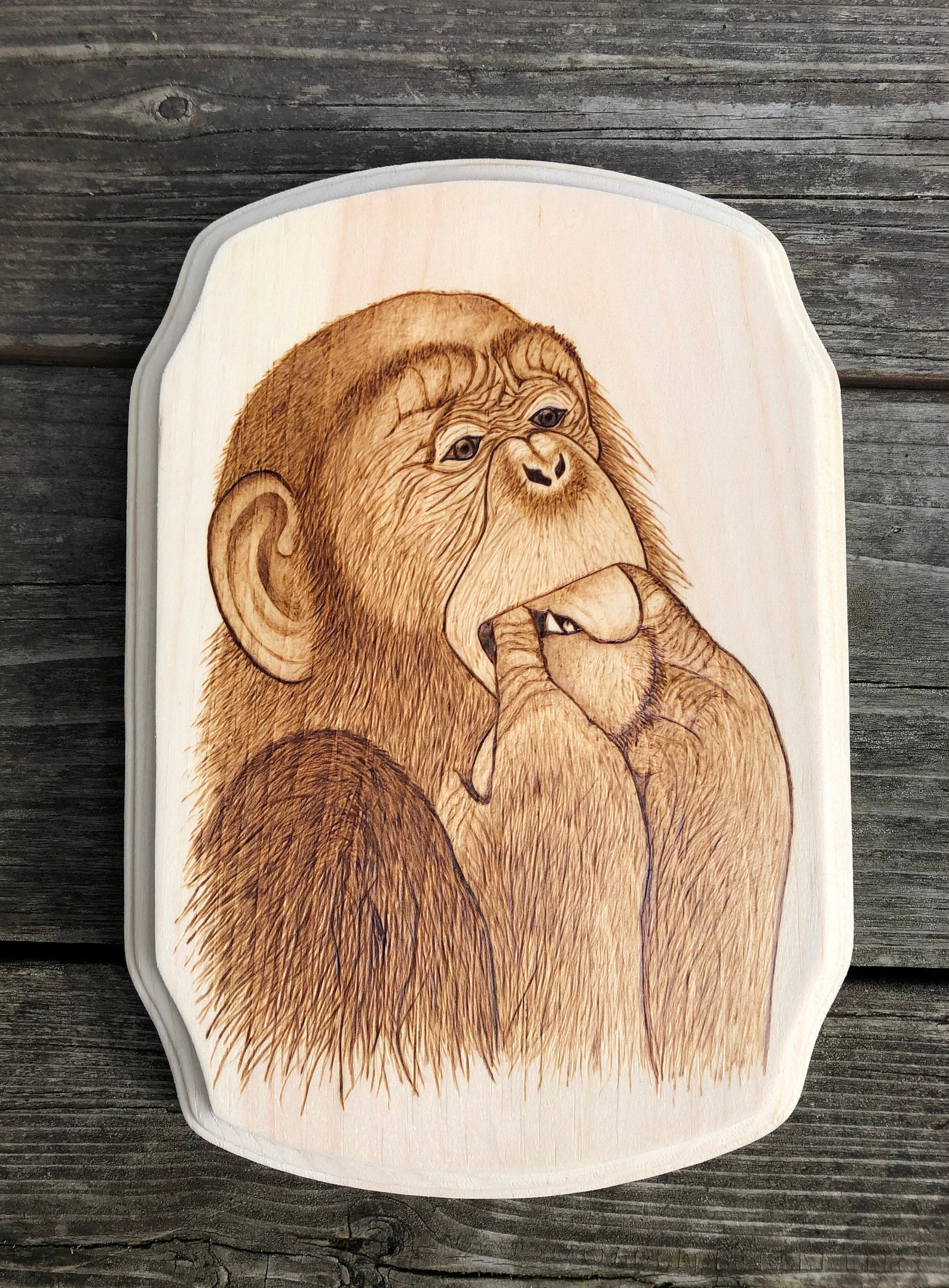 Monkey Around Plaque - Etsy