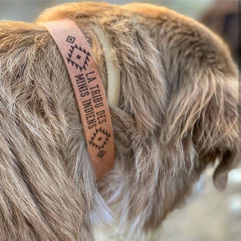 Dog neck band with name. Custom pet id. Engraved dog collar. | Etsy