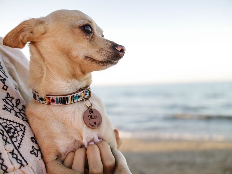 Navajo Style Tag holder.Dog neck band.Pet tag holder.Leather - Etsy Italia