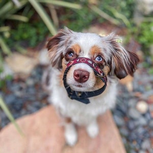 Navajo Style Tag Holder.dog Neck Band.pet Tag Holder.leather Dog Collar ...