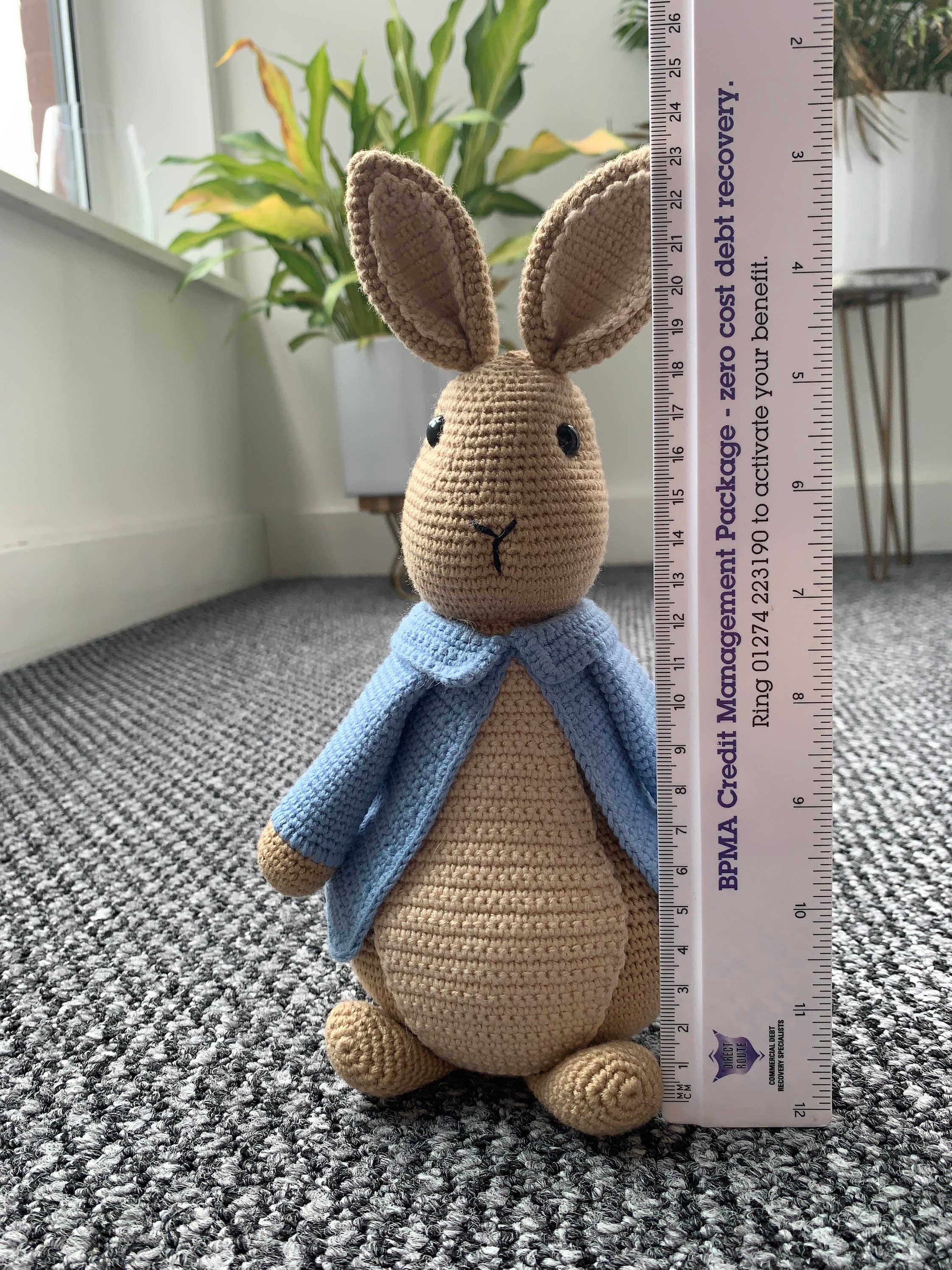 Peter Rabbit & His Sisters - Etsy