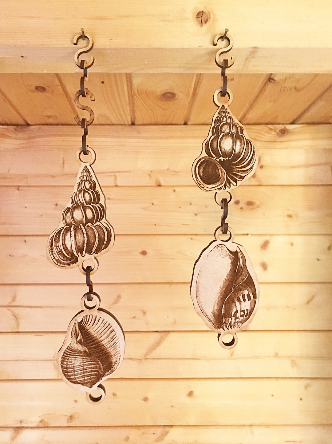 Sea Shells: Solid Wooden Hanging Sea Shell Engravings Quirky - Etsy