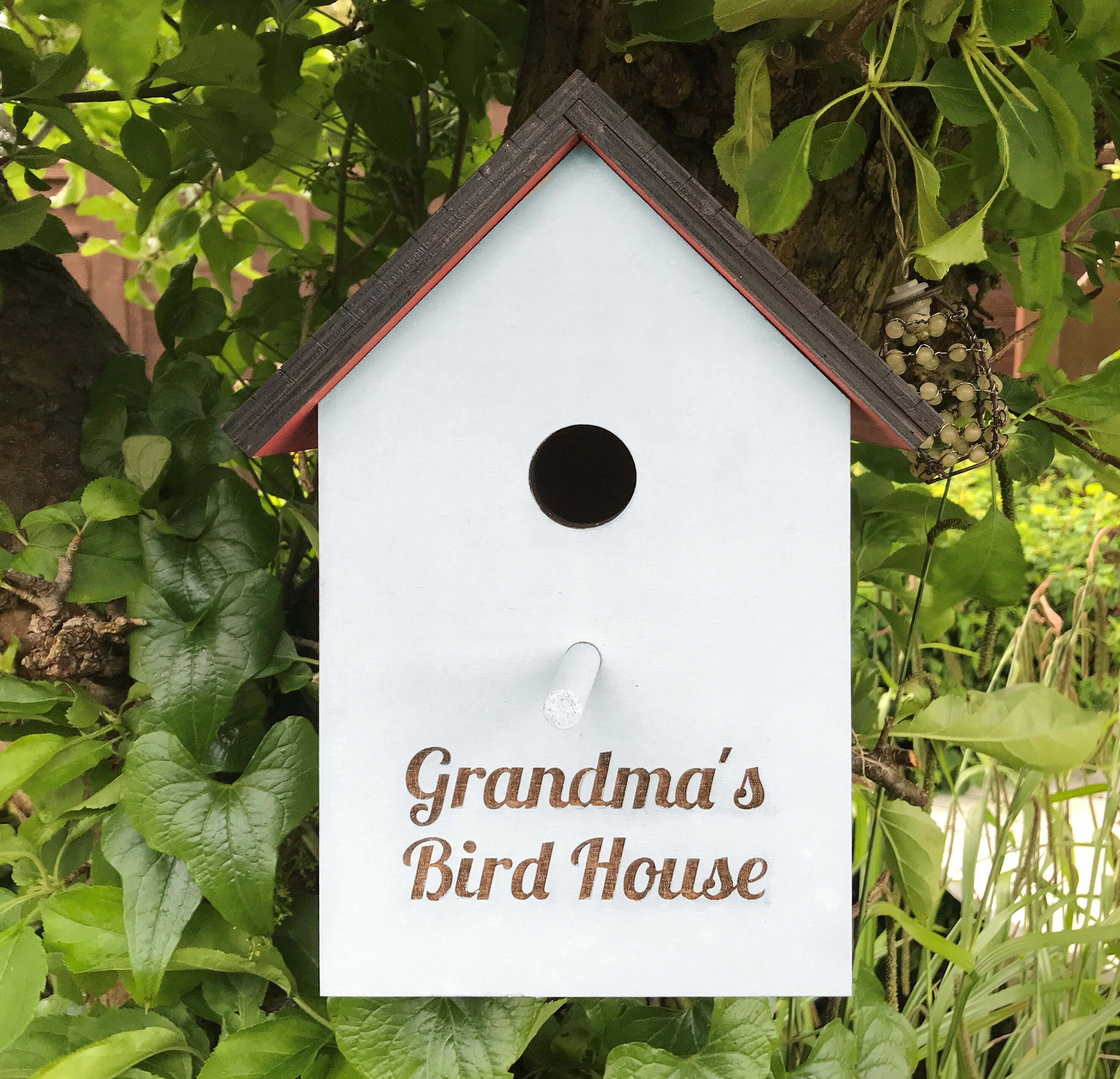 Personalised Custom Bird Bird Box. Lovely Engraved Bird Box. - Etsy