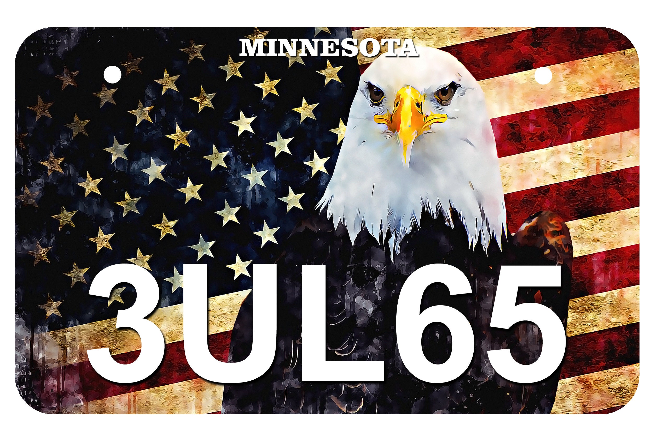 Minnesota atv plate Minnesota utv plate american flag atv | Etsy