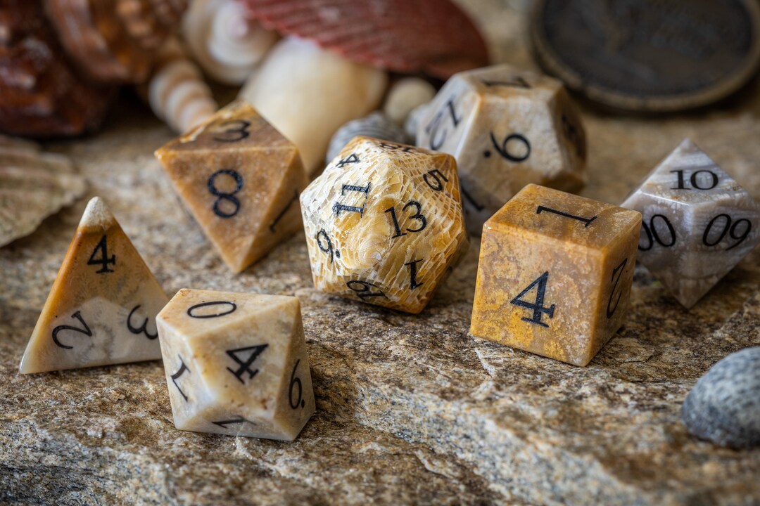 Fossilized Coral Stone Dice Set - Etsy