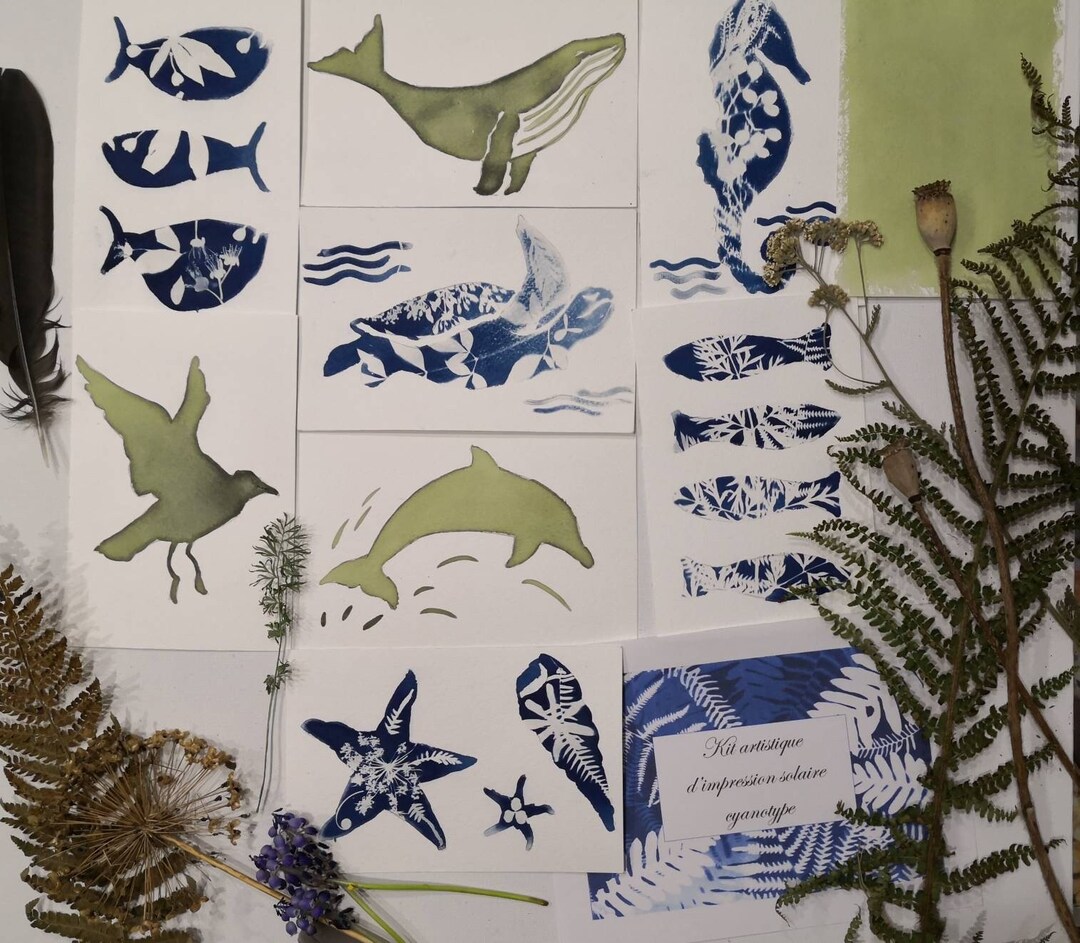 DIY Solar Printing Kit, Marine-themed Cyanotype Solar Creative Kit ...