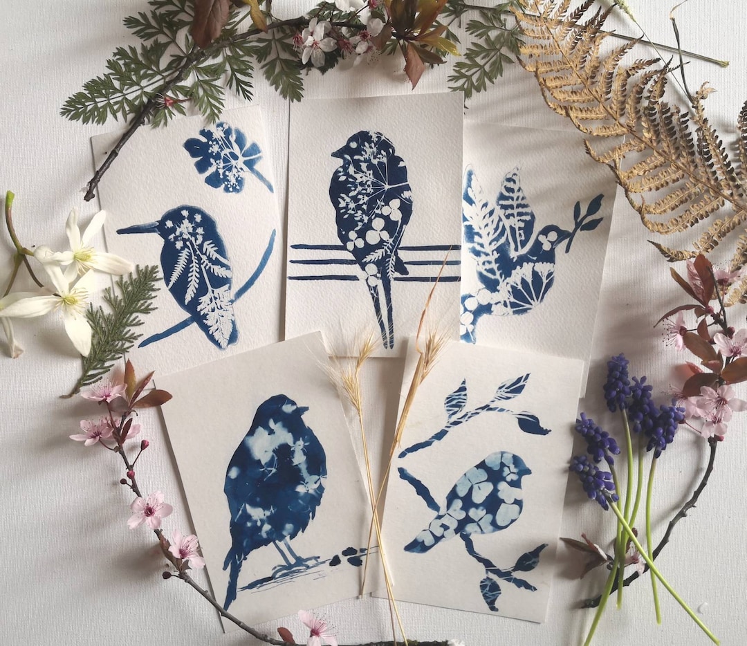 DIY Solar Art Printing Kit, Cyanotype Solar Kit With Photosensitive ...