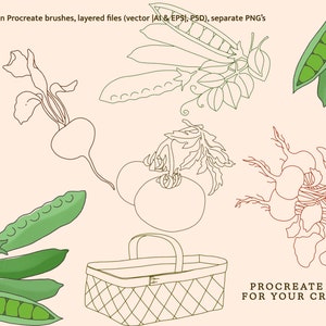 Fruit & Veggies, Procreate Brushes Procreate, Garden Brush Kit Fruit ...
