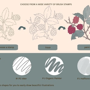 Fruit & Veggies, Procreate Brushes Procreate, Garden Brush Kit Fruit ...