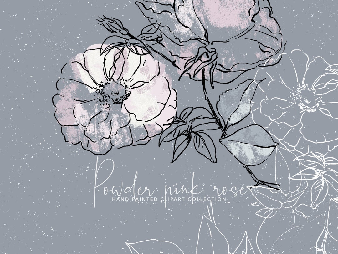 Powder Pink Rose, Hand-drawn Rose Clipart, Hand Painted Abstract Rose ...