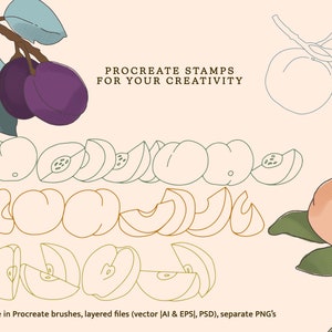 Fruit & Veggies, Procreate Brushes Procreate, Garden Brush Kit Fruit ...