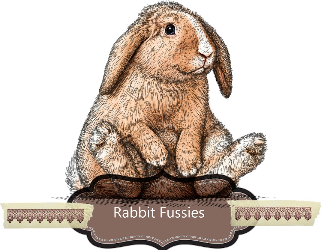 Rabbit and Bunny Fussie Cuts - Etsy