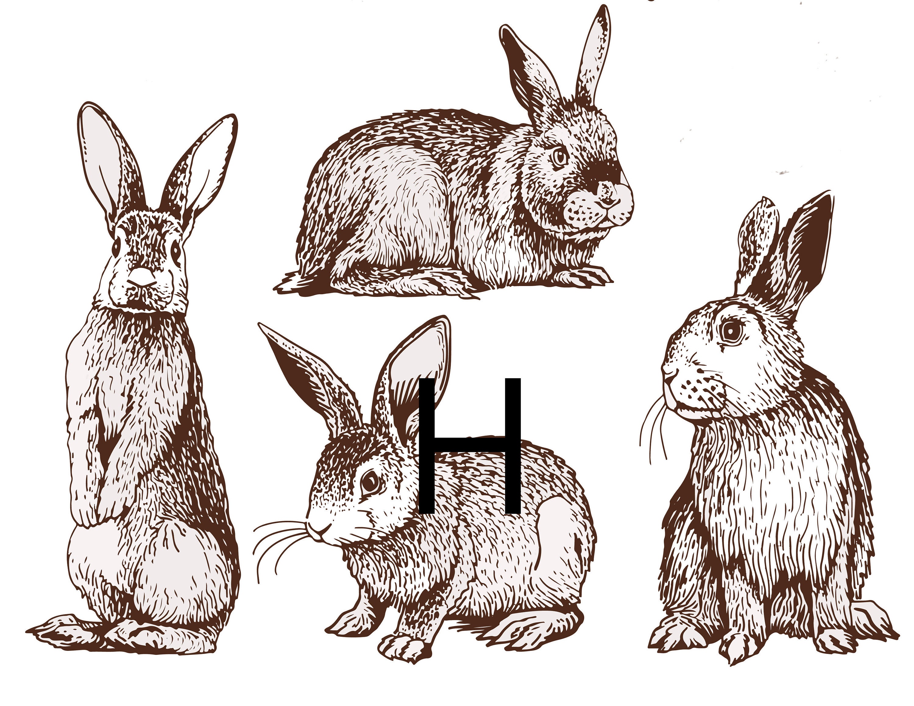 Rabbit and Bunny Fussie Cuts - Etsy