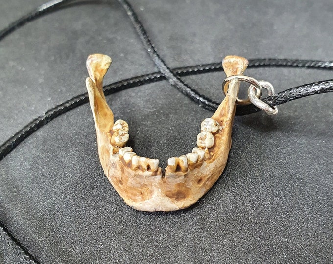 Badger Jaw Neckalce Real Jaw Native American Made Celtic Pagan Norse - Etsy
