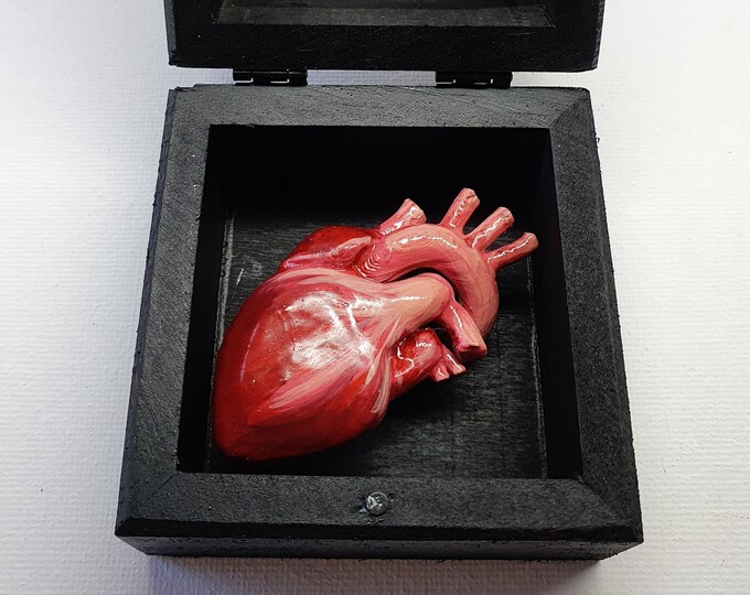 Life Size Human Heart FREE SHIPPING - Etsy