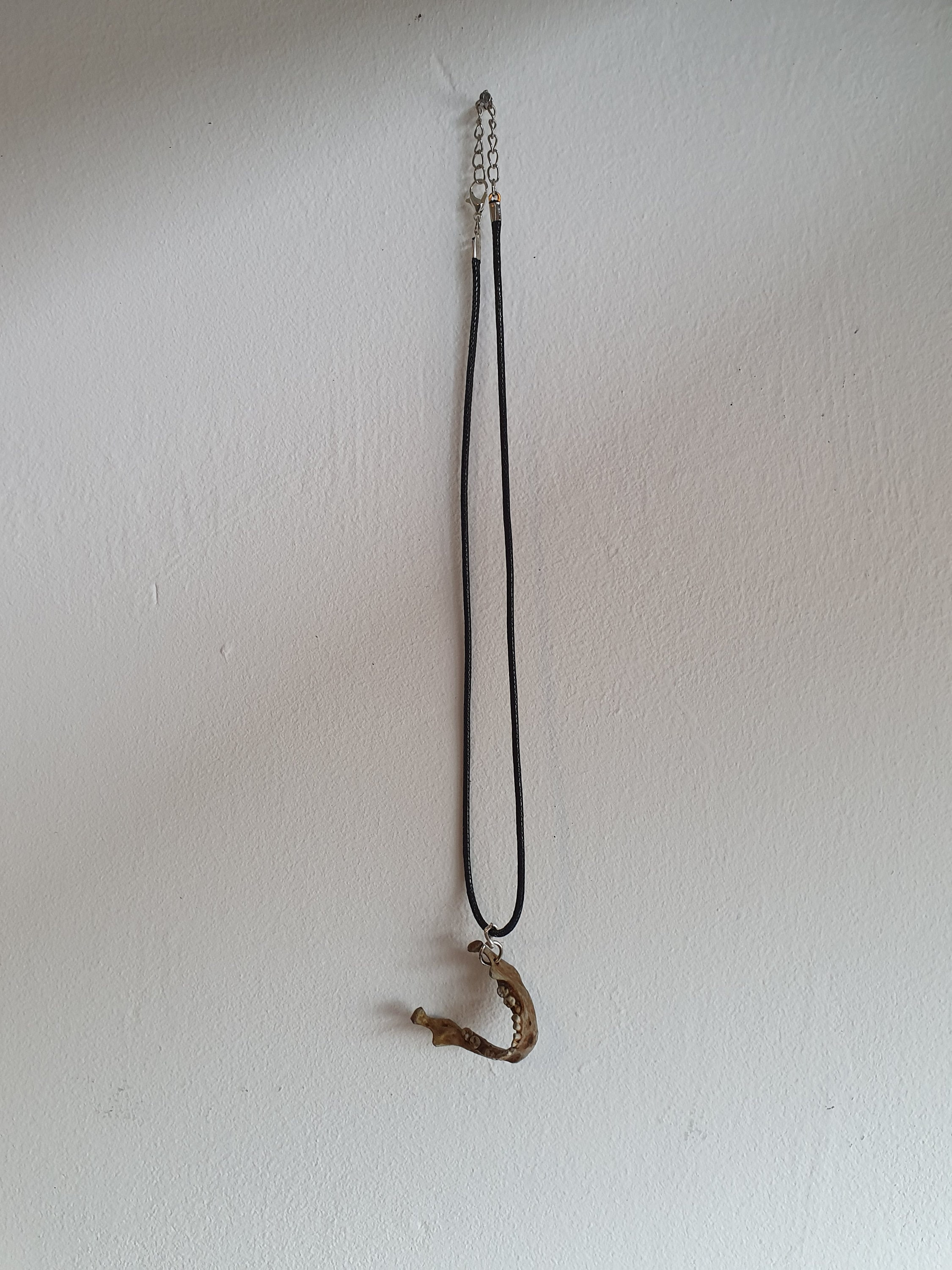 Human Jawbone Necklace Pendant Bone Jewelry Necklace Gothic - Etsy