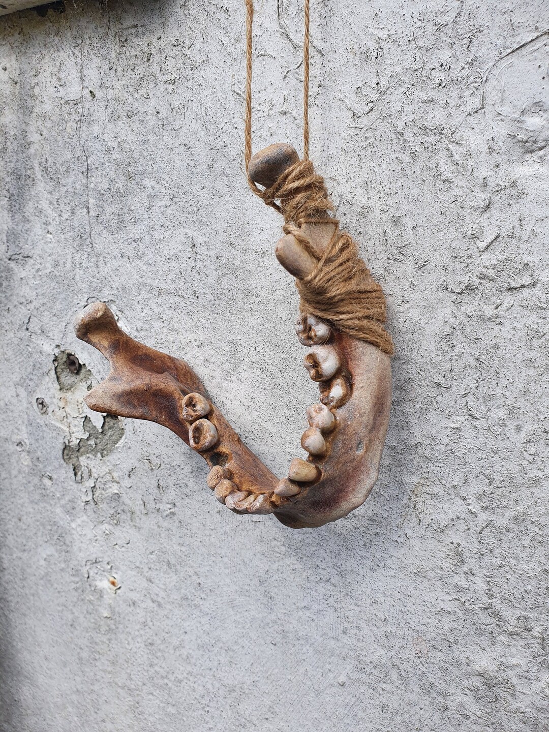 Human Jawbone Life Size Hanging Sculpture. Halloween Perfect Horror ...
