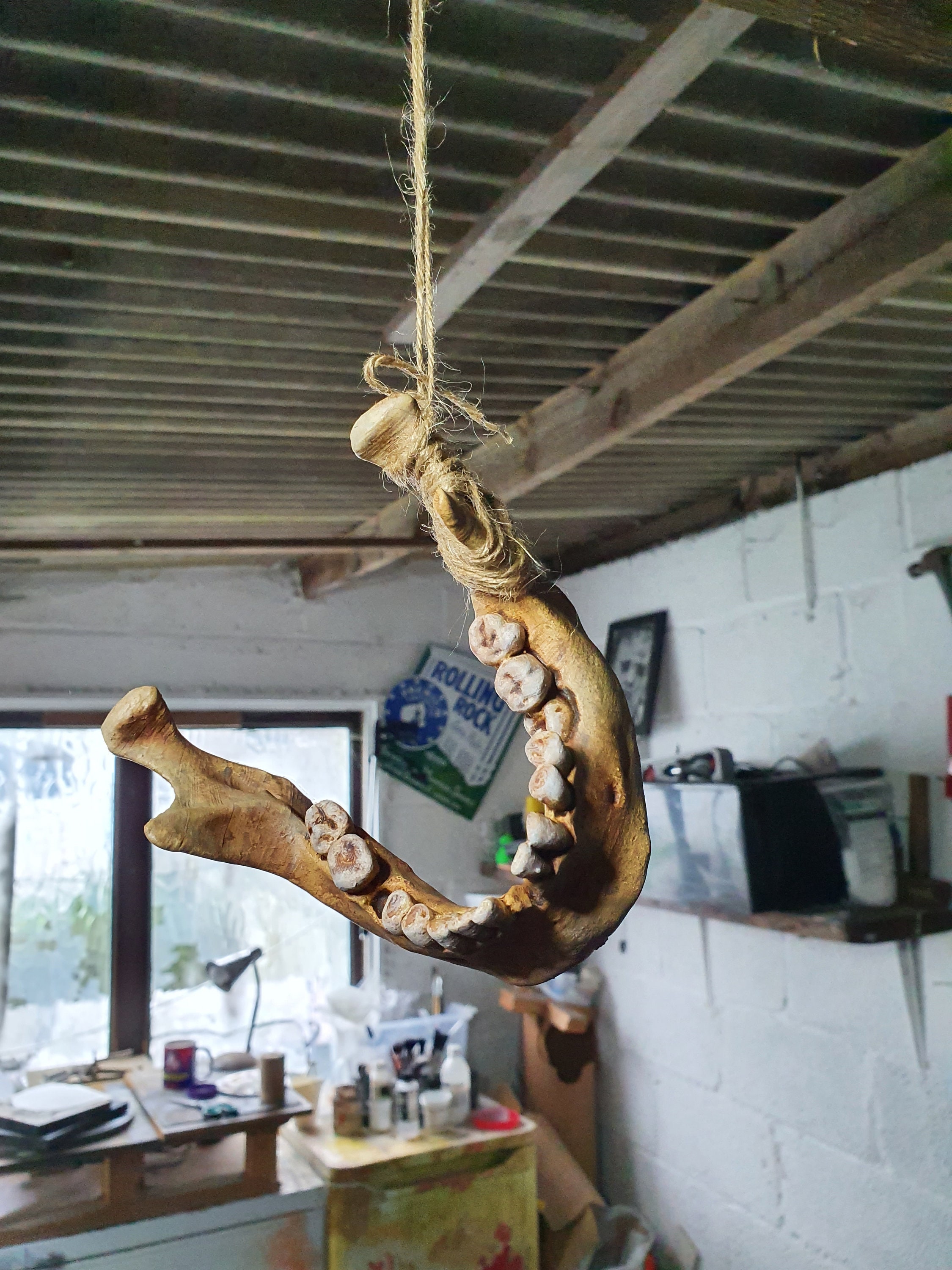 Human Mandible Jaw Bone Life Size Hanging Sculpture. Perfect | Etsy