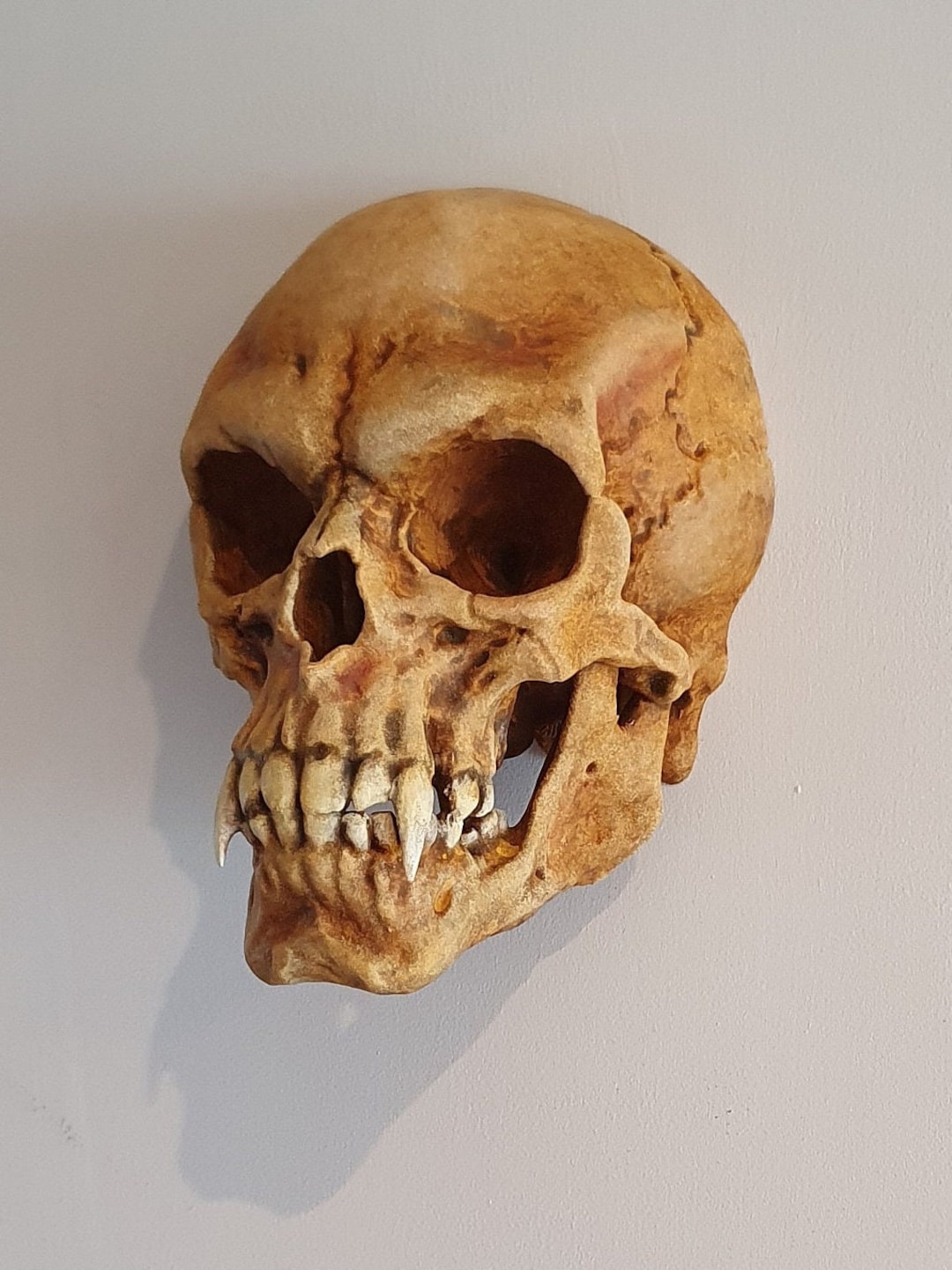 Vampire Skull Wall Sculpture. Dracula Gothic Home Decor. Realistic ...