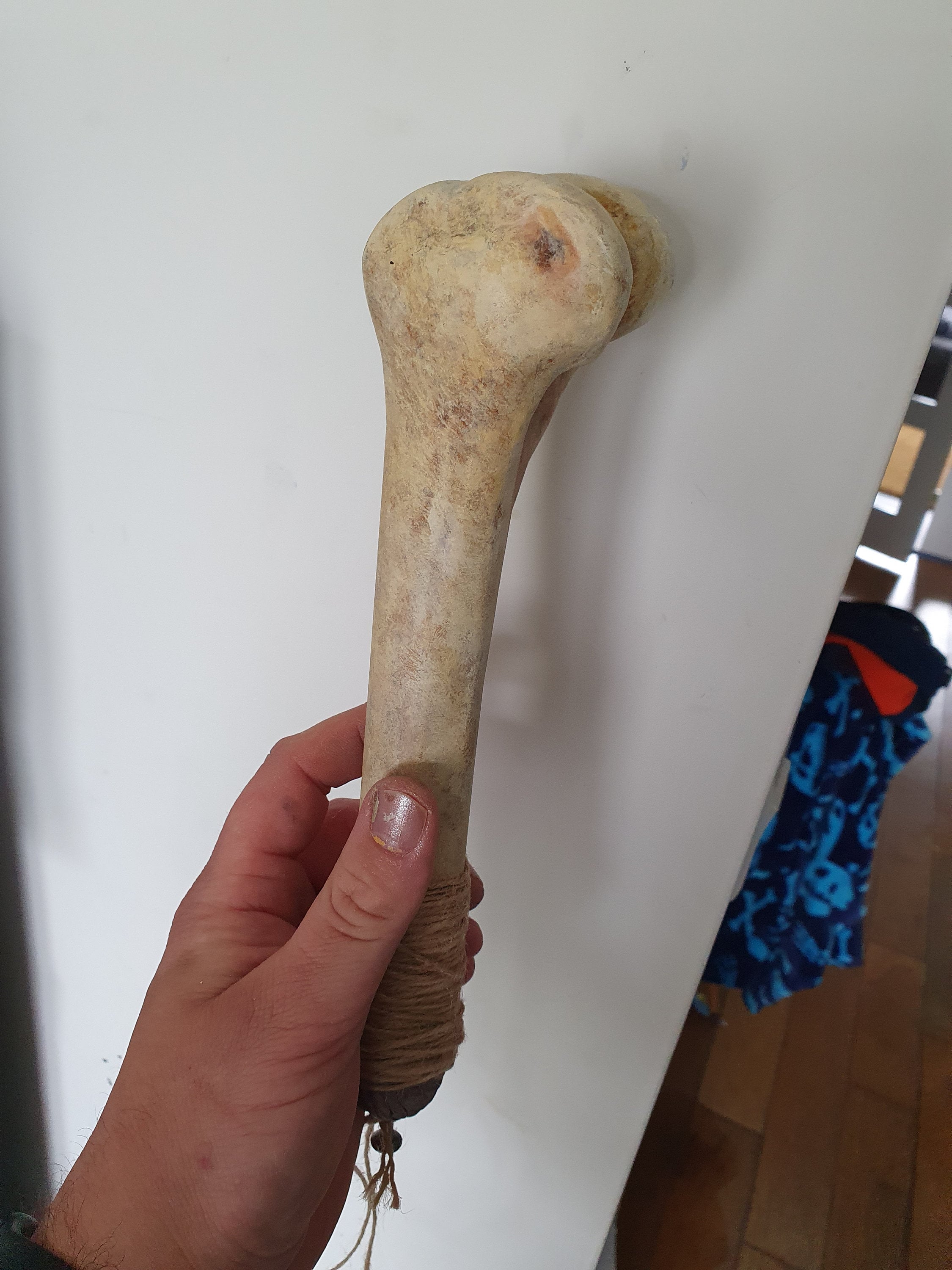 Real Human Femur