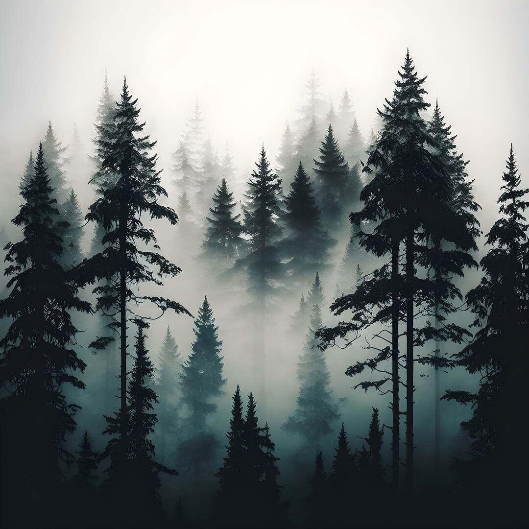 Misty Forest Trees - Poster - Etsy