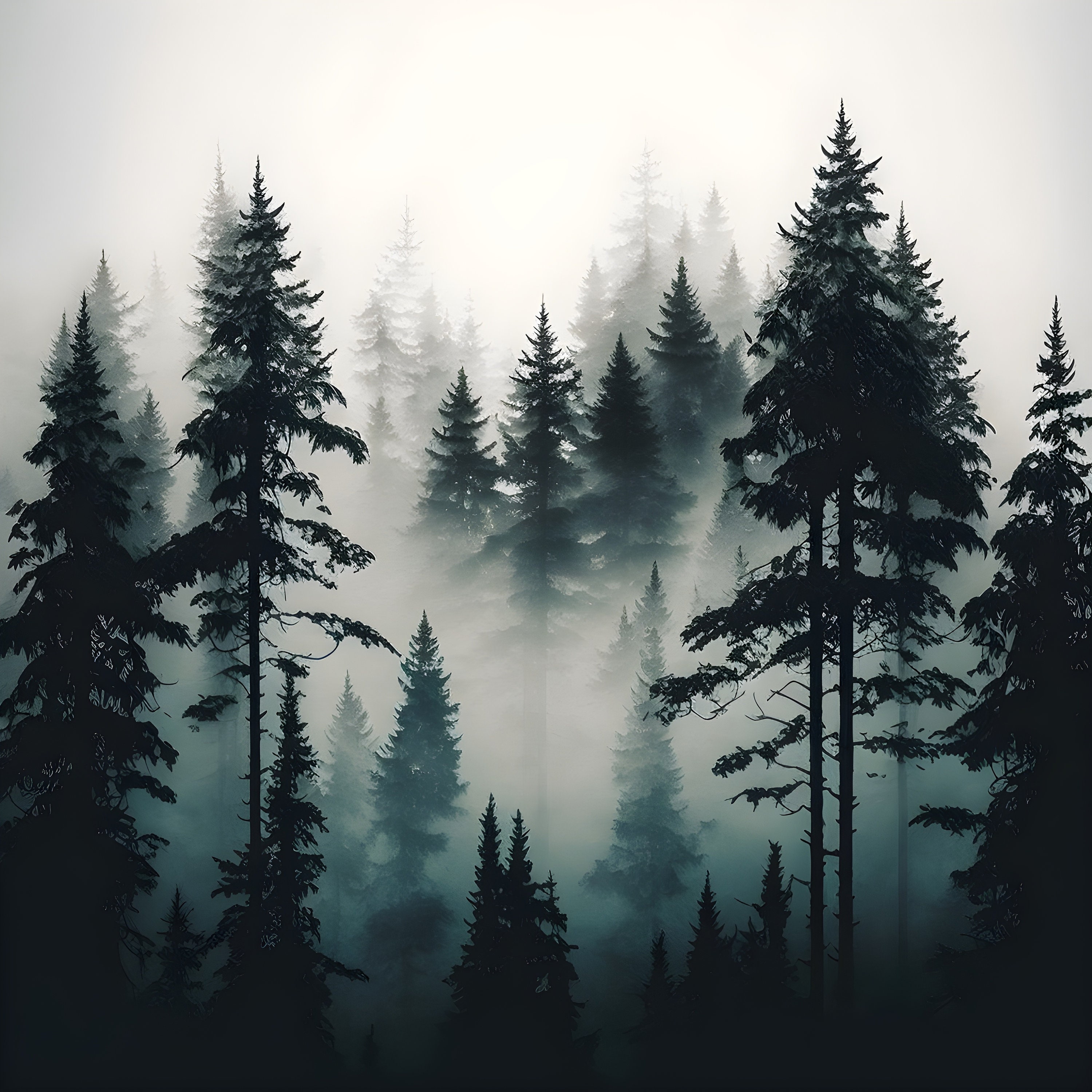 Misty Forest Trees - Poster - Etsy