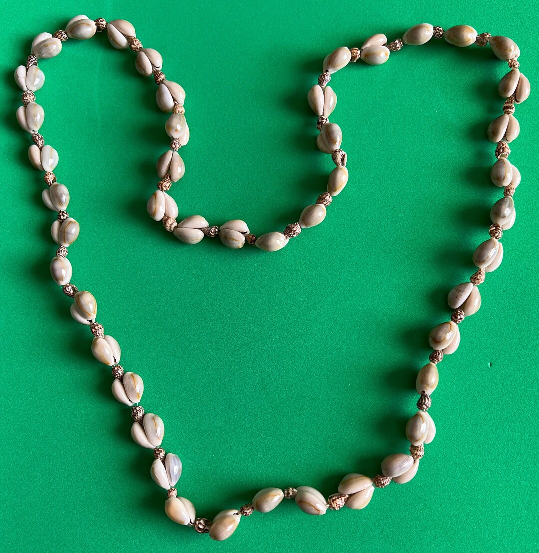 Vintage Seminole Indian Cowrie and Conch Shell Necklace - Etsy