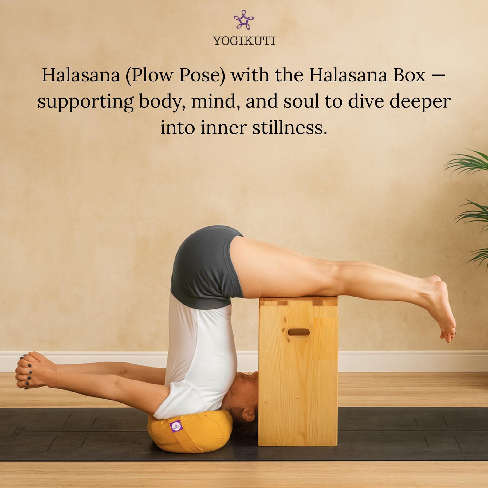 Iyengar Yoga Halasana Box- A: Wooden Yoga Bench, Support for Plough ...