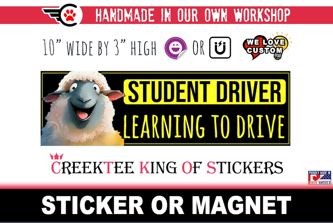 STUDENT DRIVER Learning to Drive Bumper Sticker or Magnet With Your ...