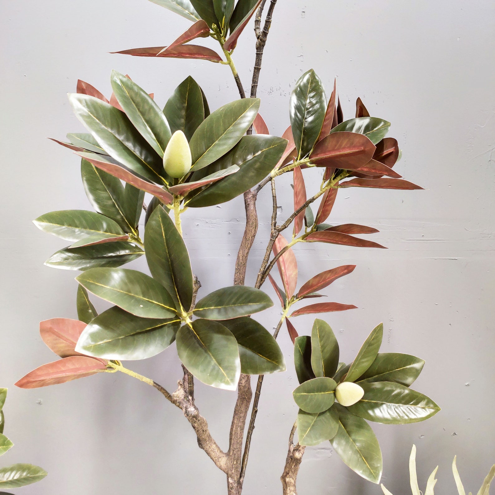 4 Foot6 Foot Artificial Magnolia Tree Artificial Treesilk - Etsy